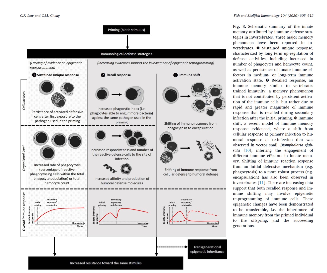 Peculiarities of innate immune memory in crustaceans – Chong Chou Min